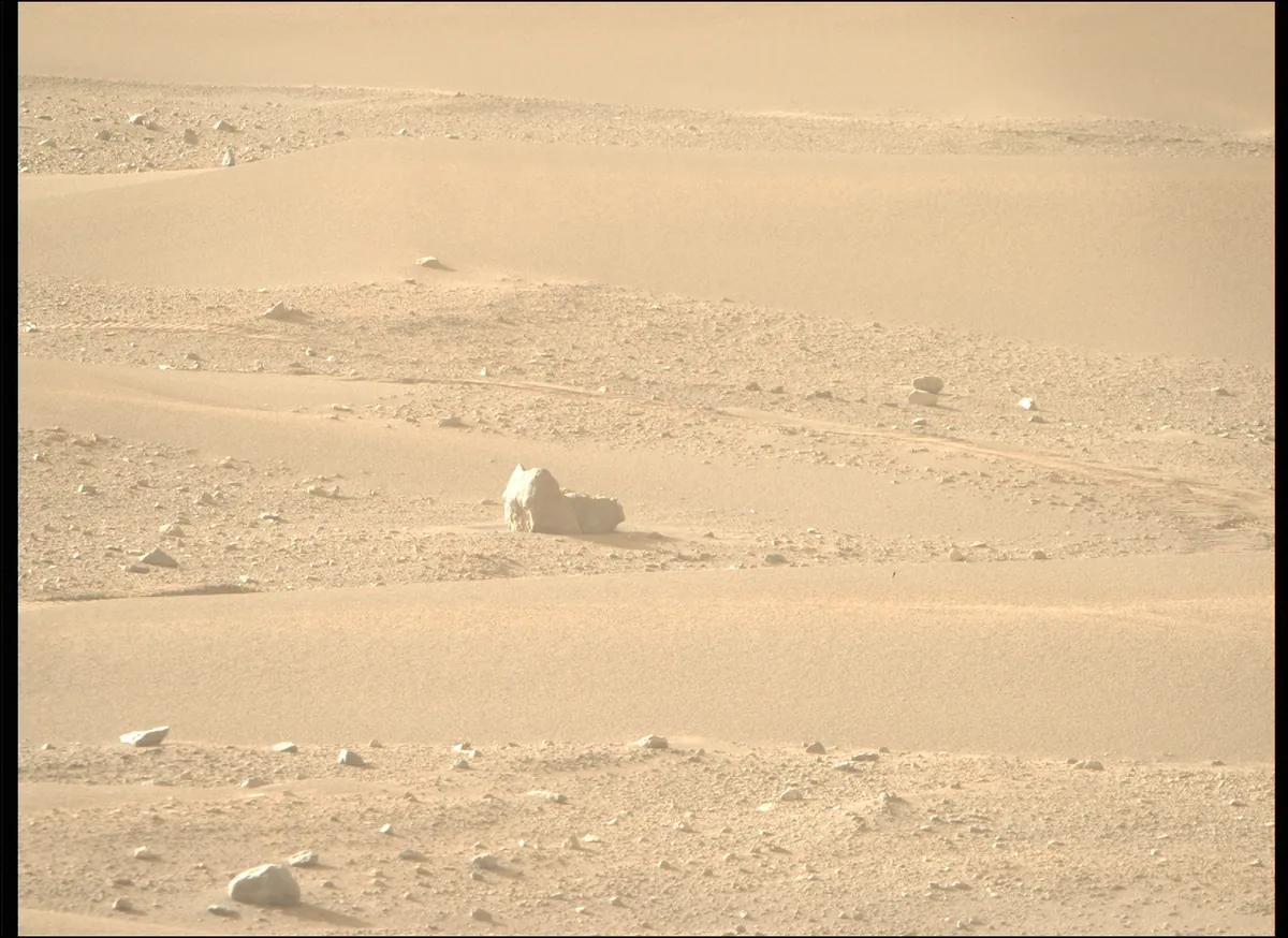 Perseverance Spies The First "Cat" On Mars · Warrior of Mars